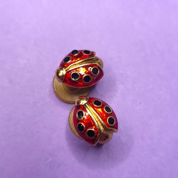 Avon | Jewelry | Ladybug | Poshmark